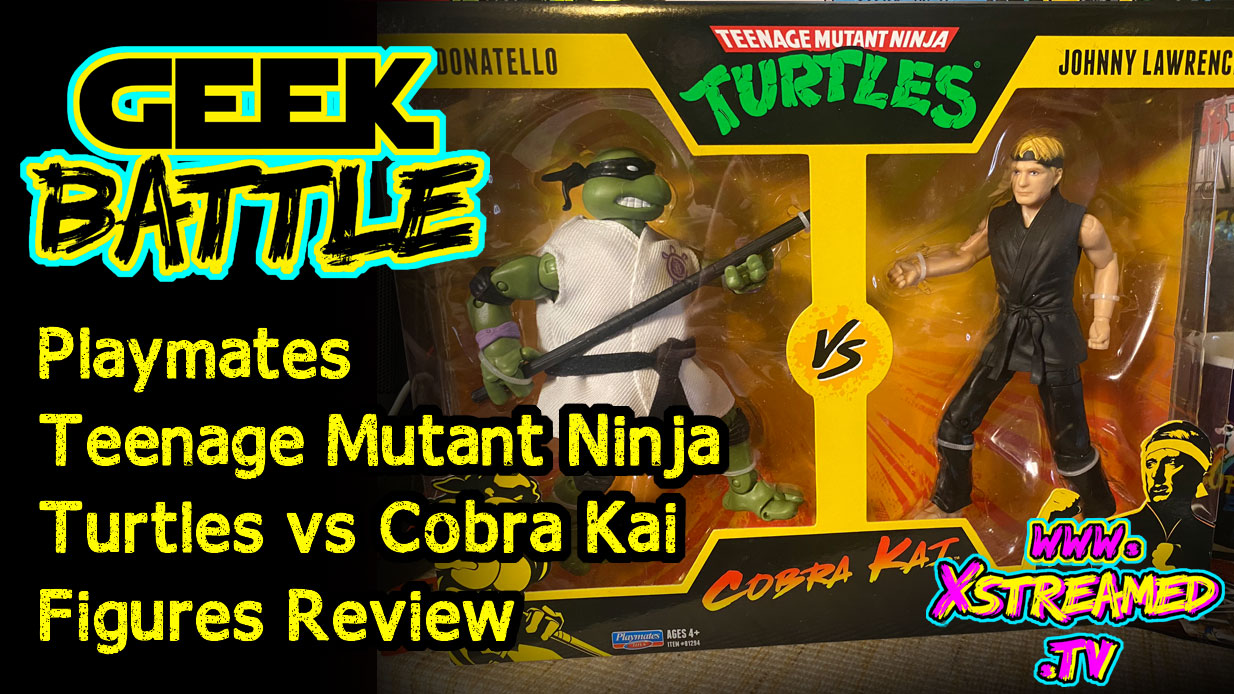 Teenage Mutant Ninja Turtles vs Cobra Kai Donatello vs Johnny Lawrence ...